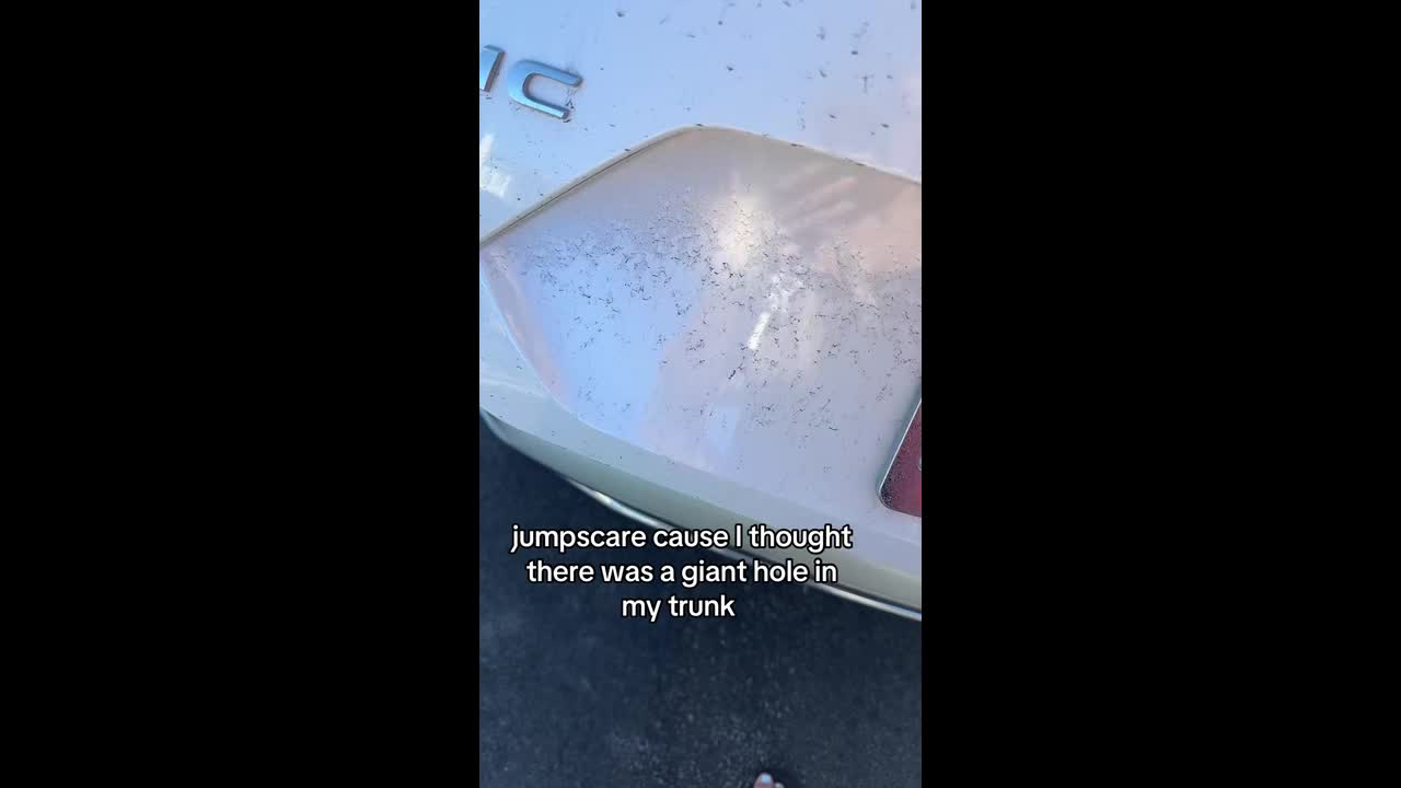 Mirror in car boot fools millions—Optical illusion racks up 2.7 million ...