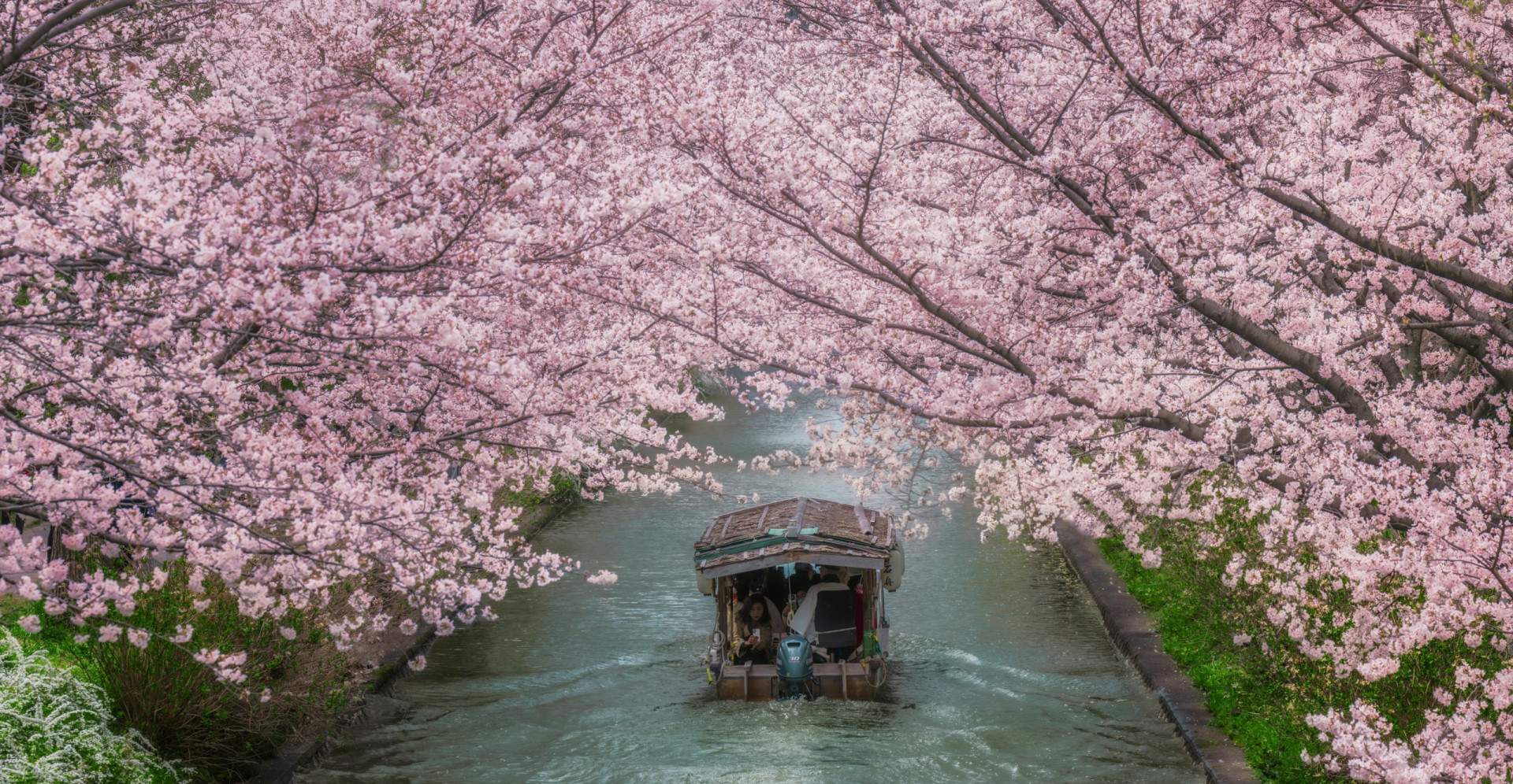 Extranjero: los países con más expats estadounidenses