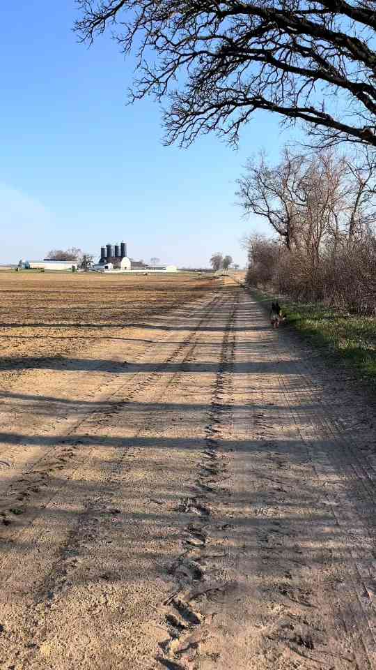 A Quiet Walk and Endless Farm Vibes
