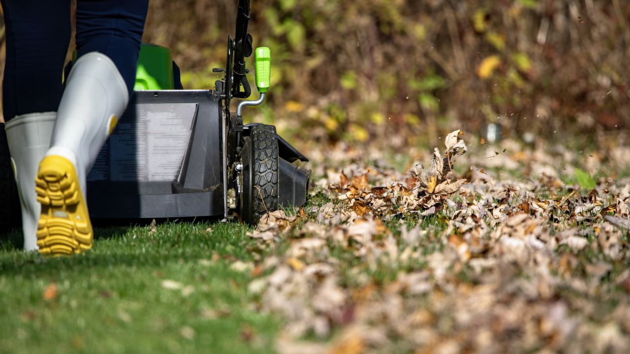When is it Too Late to Dethatch Your Lawn? Turf Experts Reveal the Tell ...