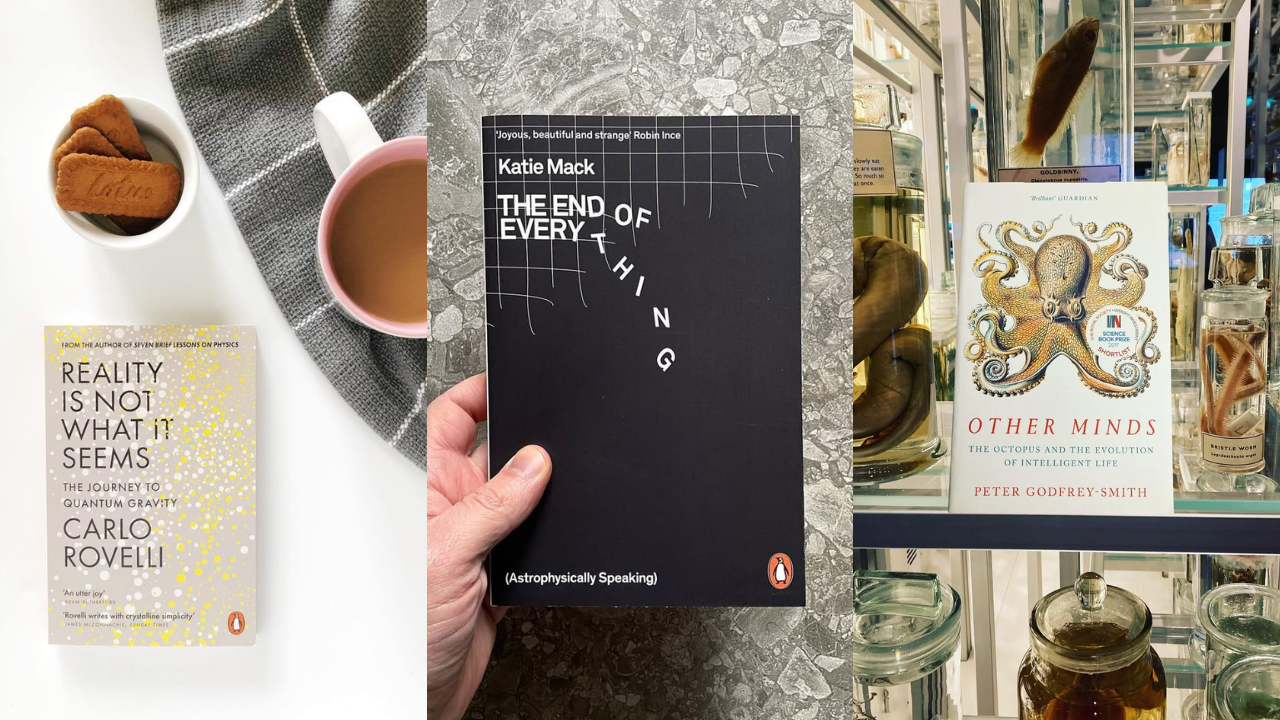 10 Non-Fiction Books That Feel Like Conversations With a Genius