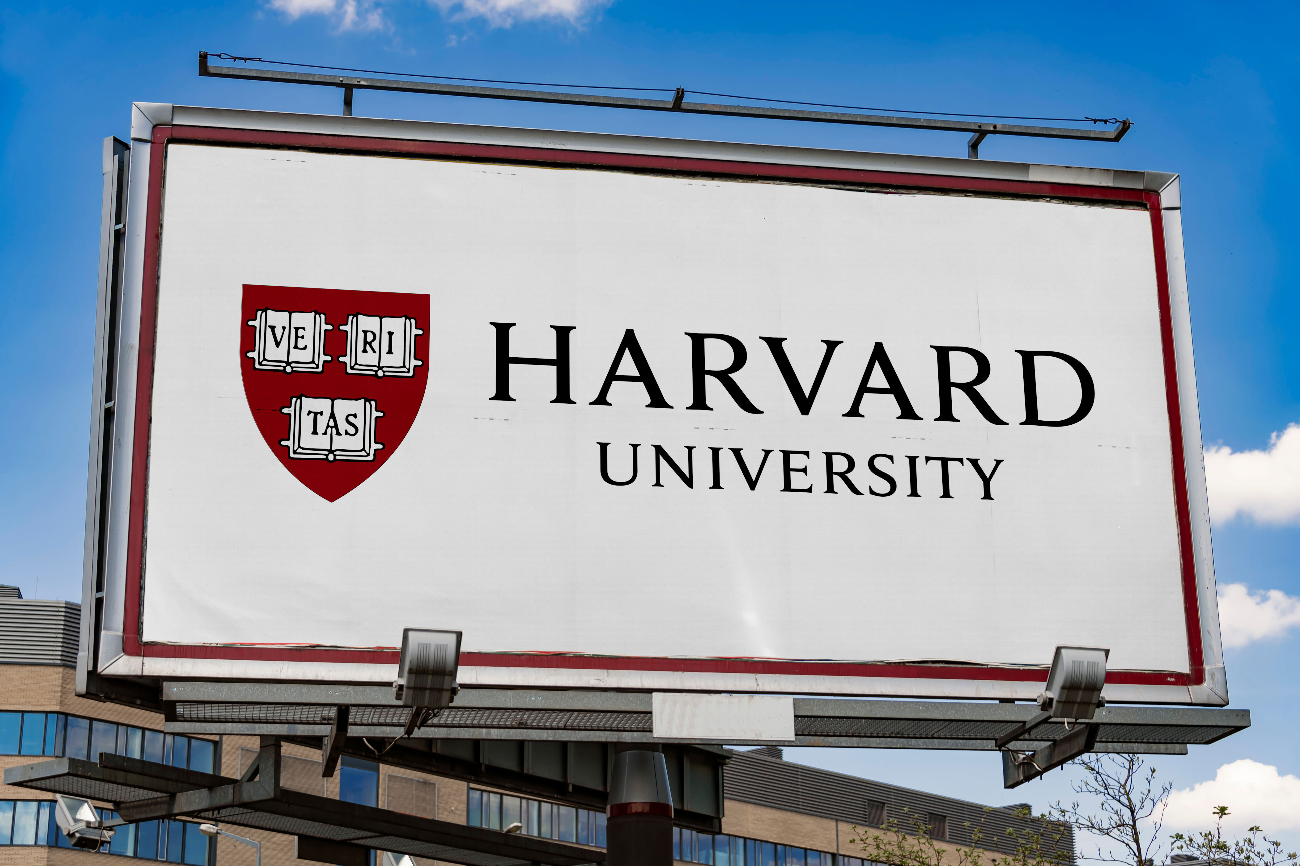 Harvard raadt deze eenvoudige gewoonte aan om fit te blijven na je 55ste