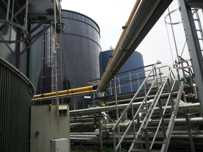 Energie aus Lebensmitteln: Wie in der Biogasanlage in Zülpich-Geich aus ...