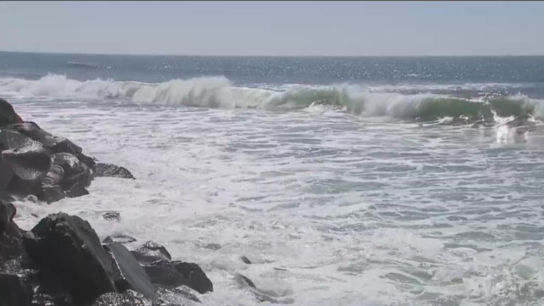 Re:Beach project aims to restore Oceanside’s eroding coastline