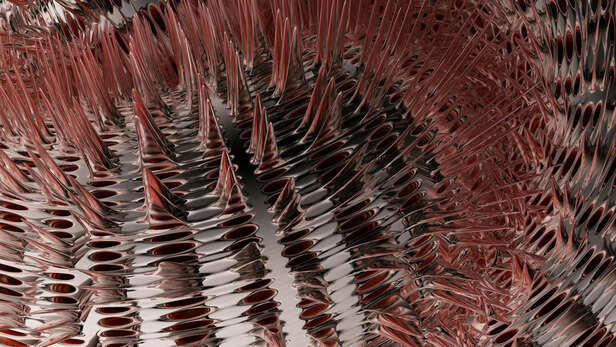 Nature’s Armor: What Pangolin Scales Teach Us About Evolution and ...