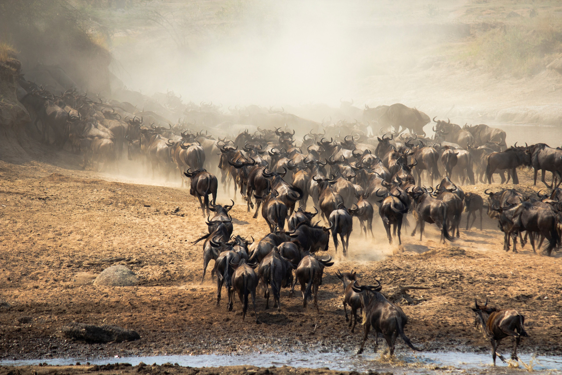 De største landene i verden