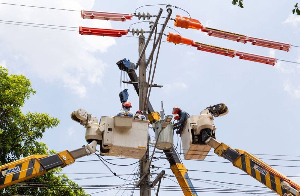 Meralco powers sustainability through ‘Greening the Network’ program