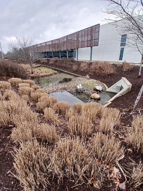 Passerby shares photo of unusual feature outside community building ...