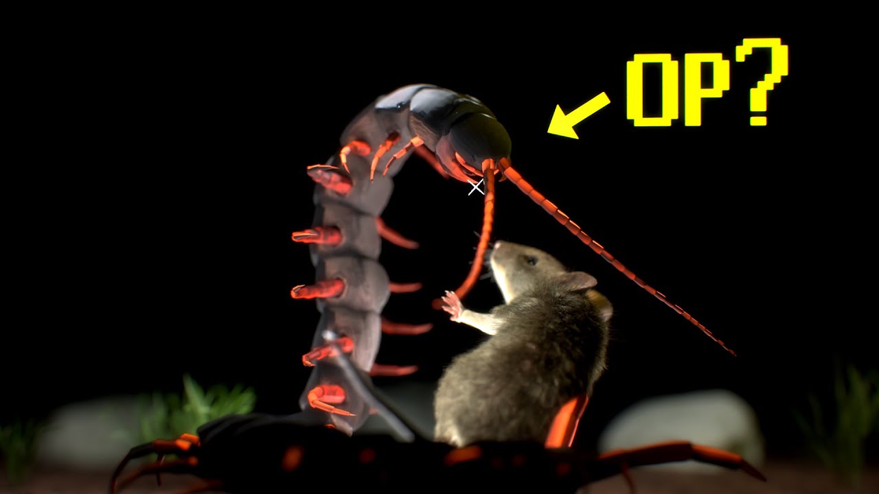Are Centipedes OP? The Tiny Predators That Terrify Nature