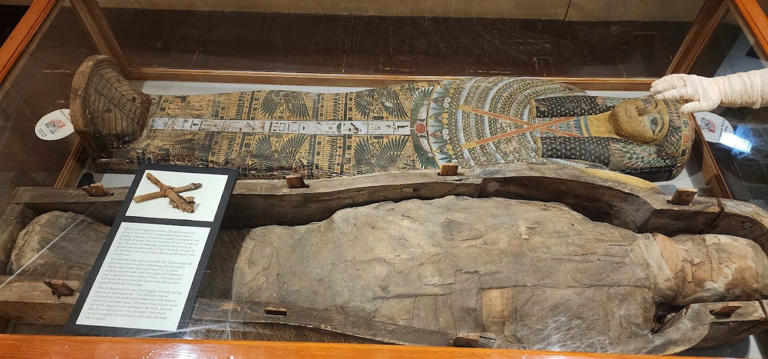 Richmond mummies survive in afterlife despite 20th-century fire, lack ...
