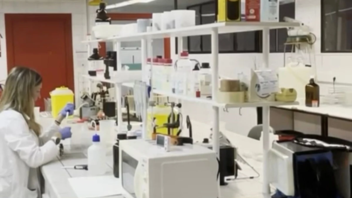 Las universidades públicas andaluzas cuentan con 501 investigadores ...