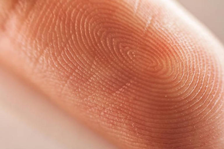 Drivers must hand over their fingerprints after rule change from this week