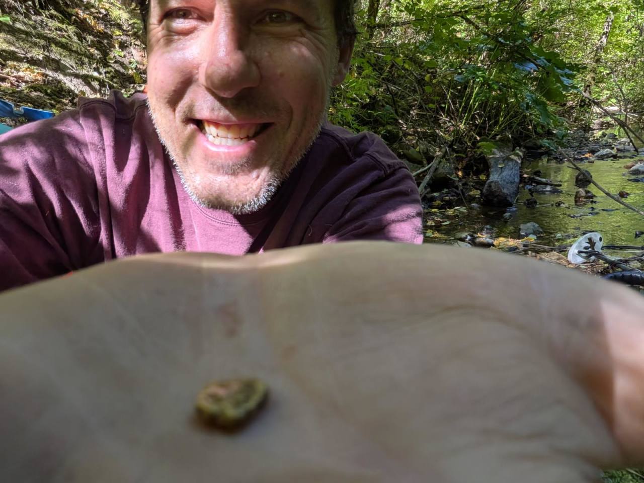 I’m Out of the Office. I’m Digging for Gold.