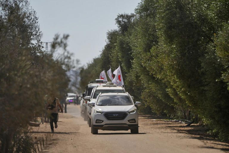 In pictures: Emotional scenes as Hamas releases all living Israeli hostages
