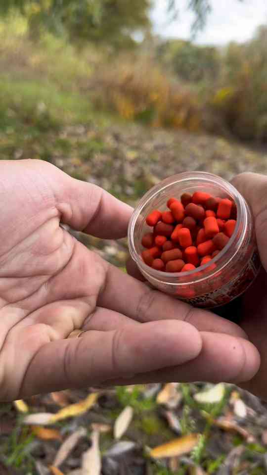 Secret Fishing Bait That Always Works