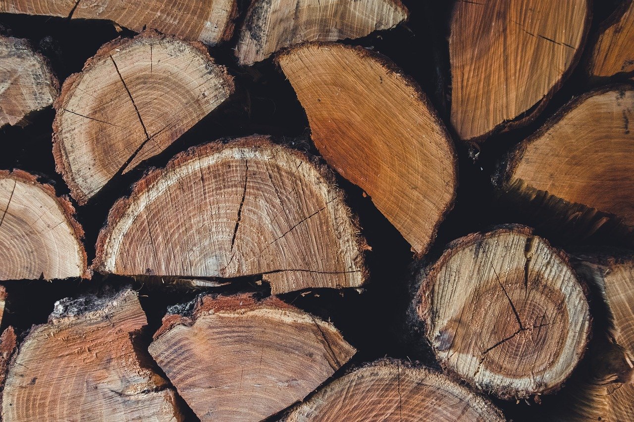 10 Facts About The Amazon Rainforest - From Environmental Scientists