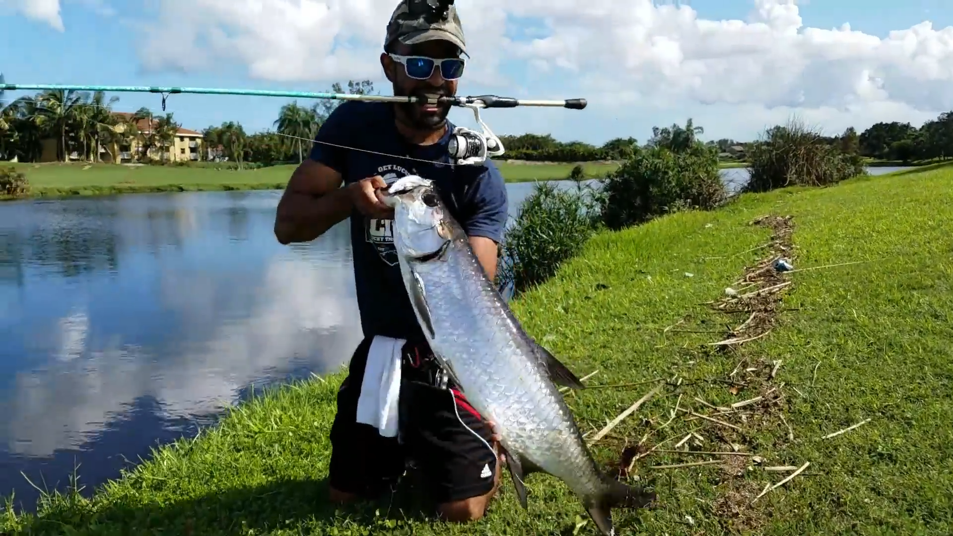 Massive tarpon found living in a freshwater pond