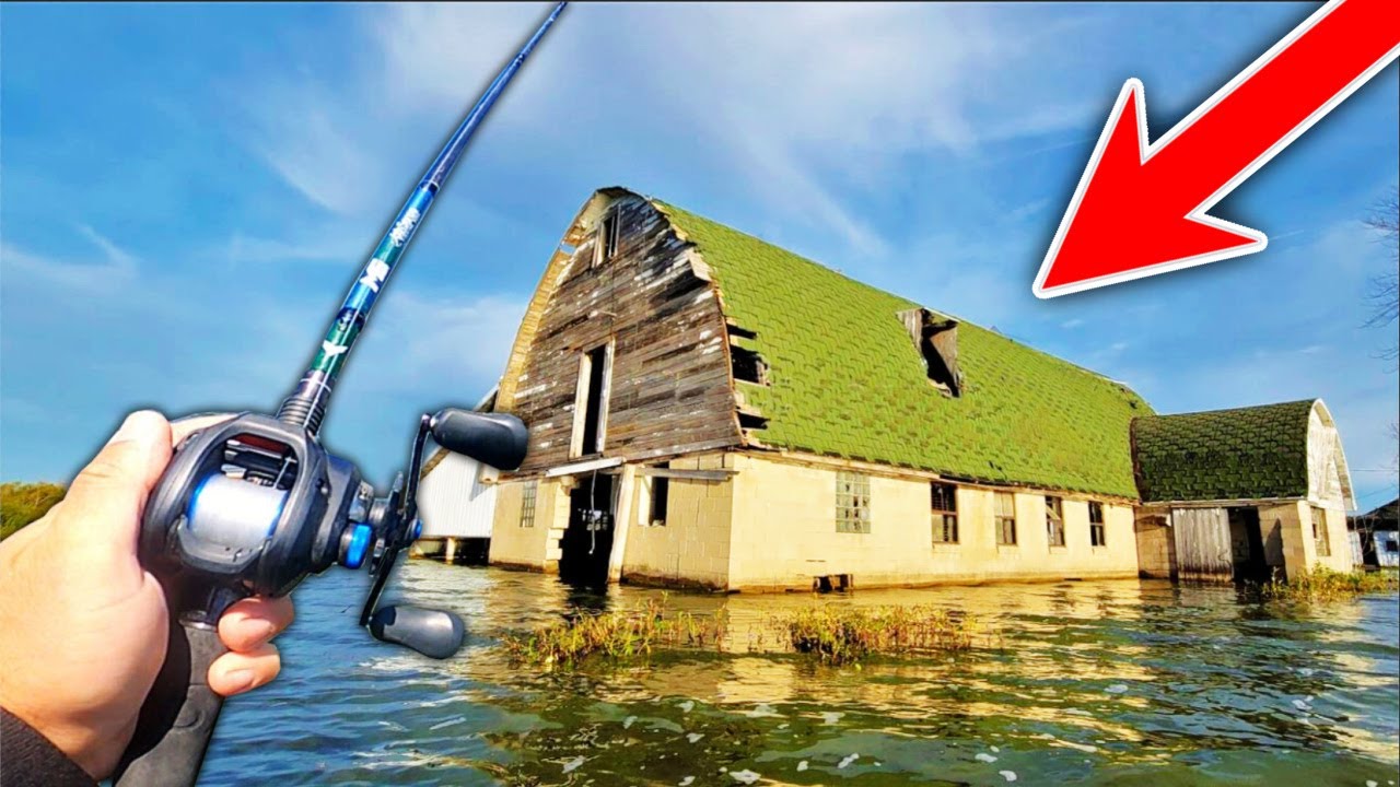 Flooded farm reveals a massive fish surprise at night