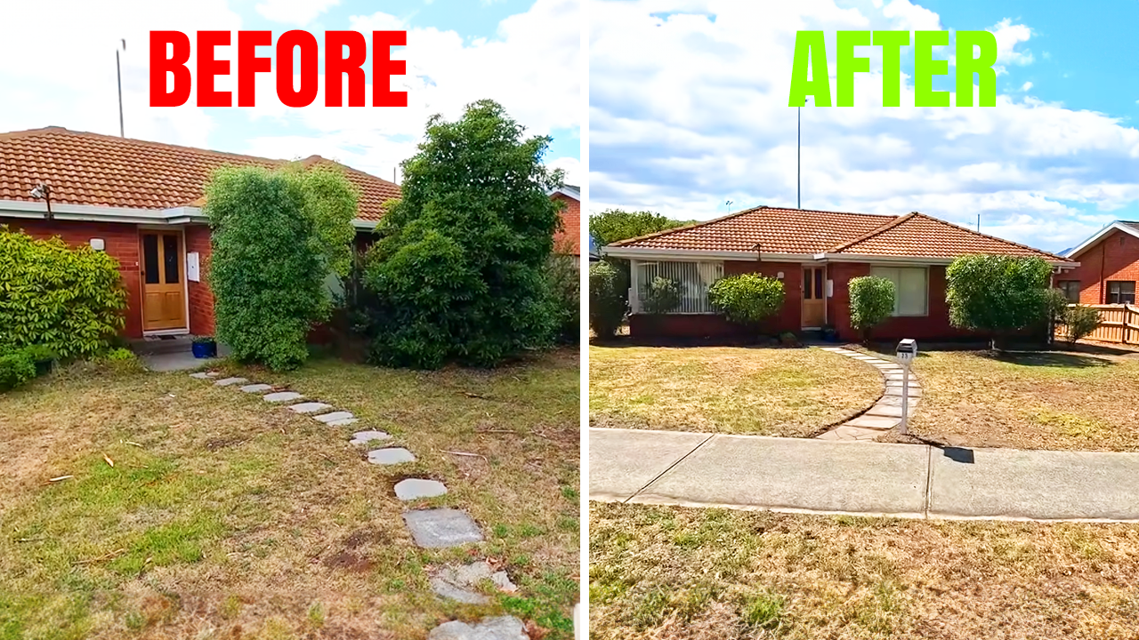 Incredible yard makeover!
