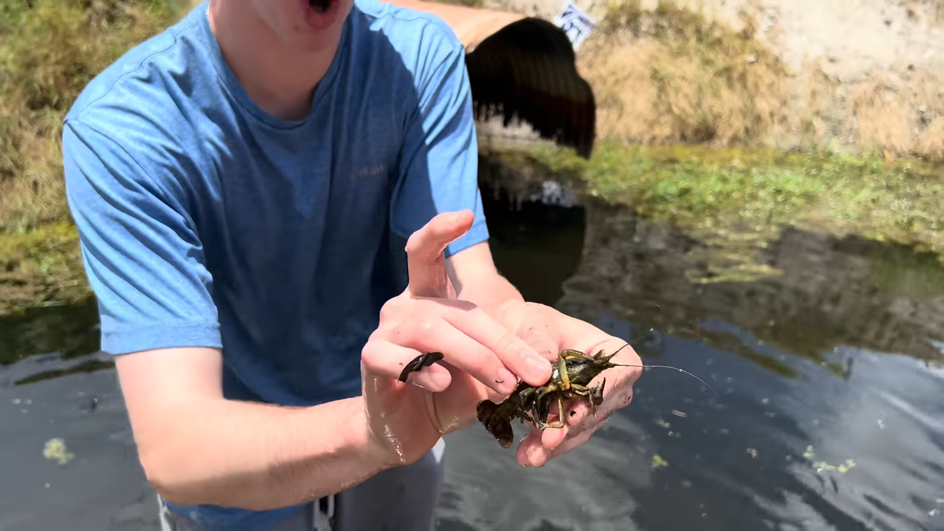 Netting mysterious creatures inside a hidden tunnel