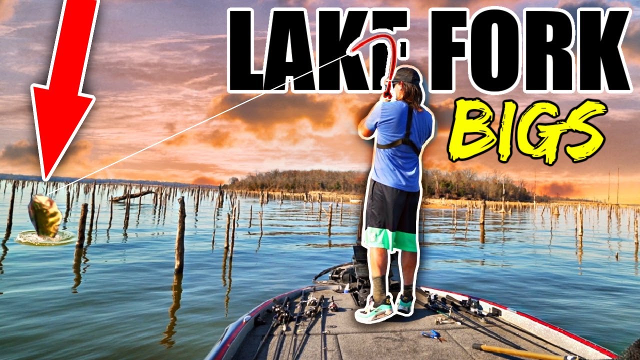 Big bass in thickest cover while Lake Fork spring fishing