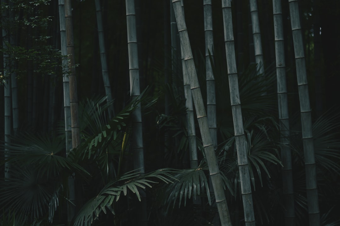 10 Facts About The Amazon Rainforest - From Environmental Scientists