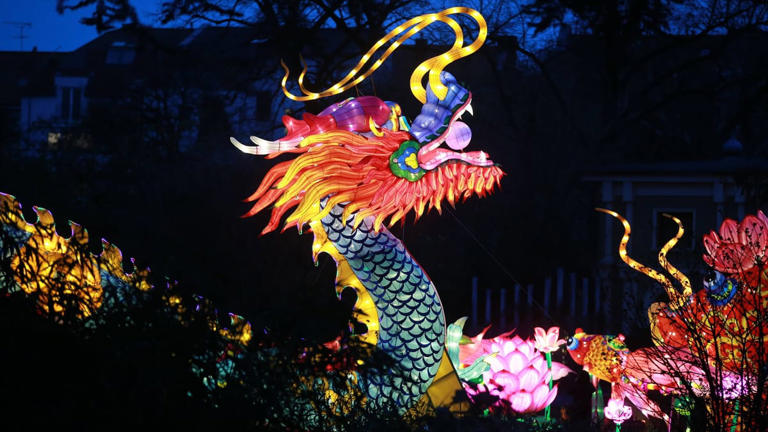 China Lights im Kölner Zoo: Das erwartet die Besucher