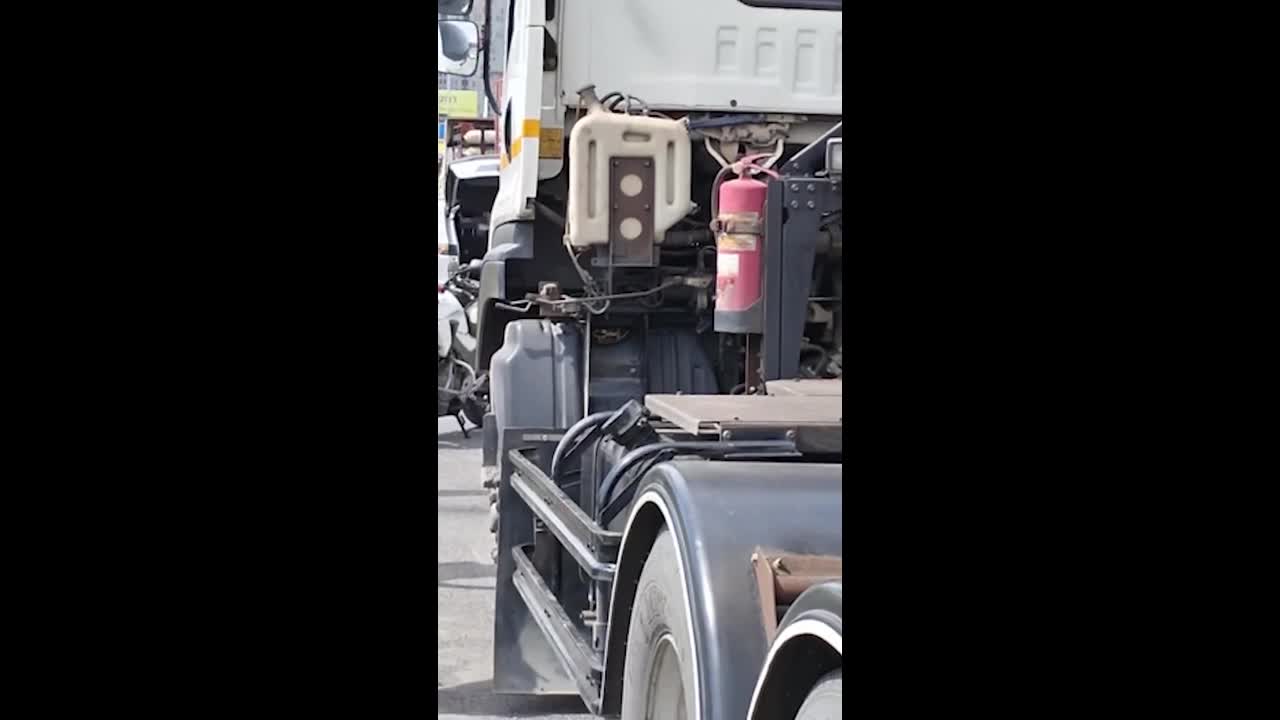 Traffic cops remove huge python stuck under truck
