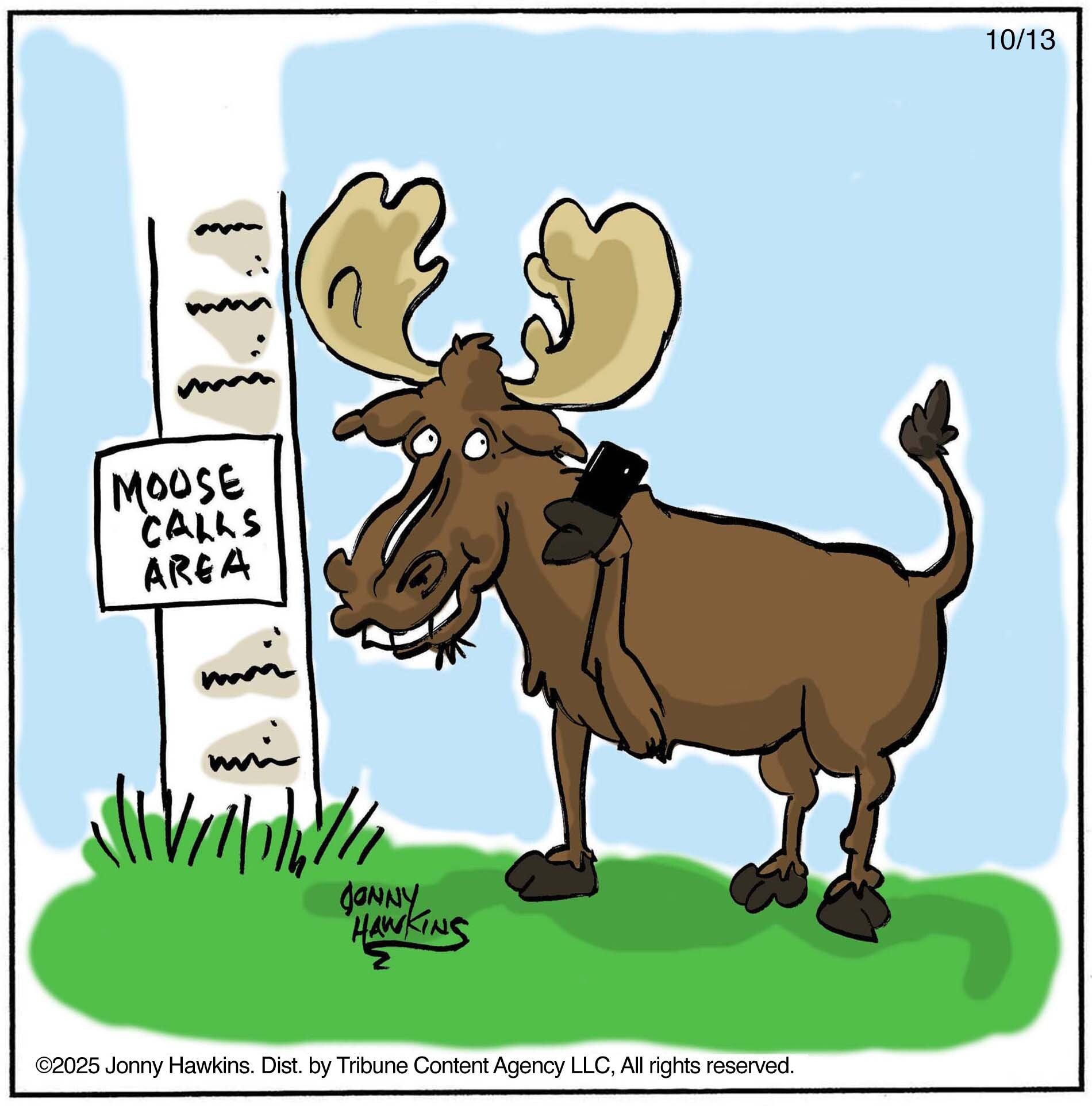 Zoolies by Jonny Hawkins