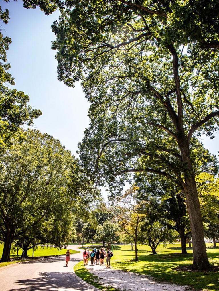 A Complete Guide to Dorothea Dix Park: Raleigh's Urban Oasis