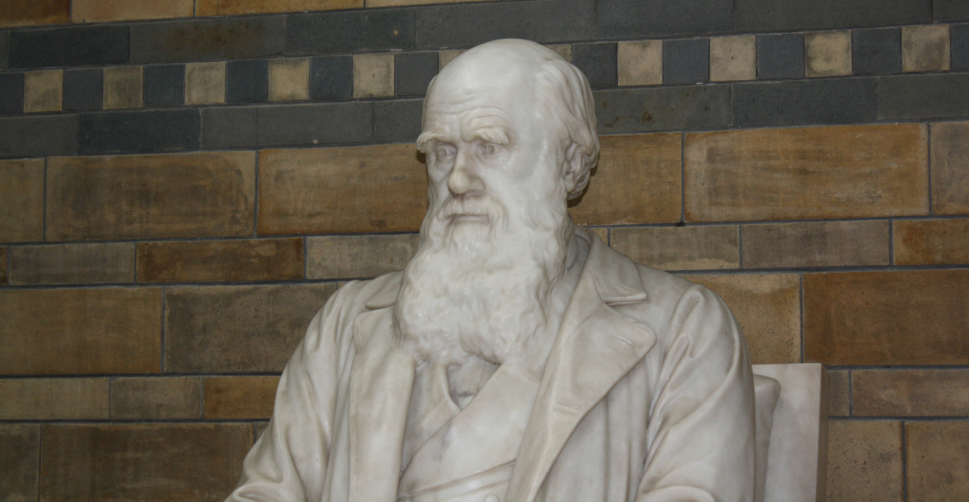 The evolutionary life of Charles Darwin