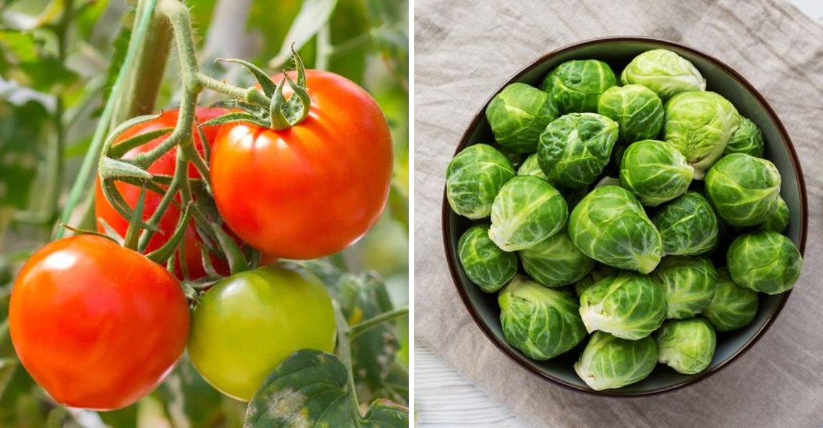 9 Veggies Experts Never Buy Out Of Season