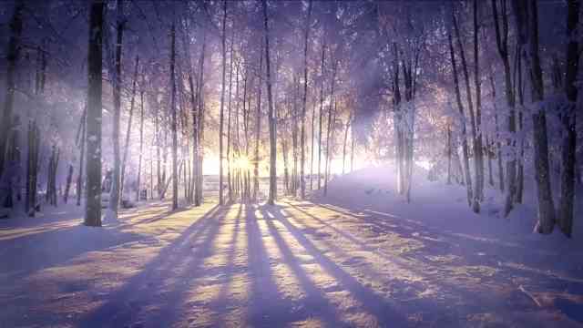 Why Milankovitch Cycles Control the Planet’s Long-Term Climate