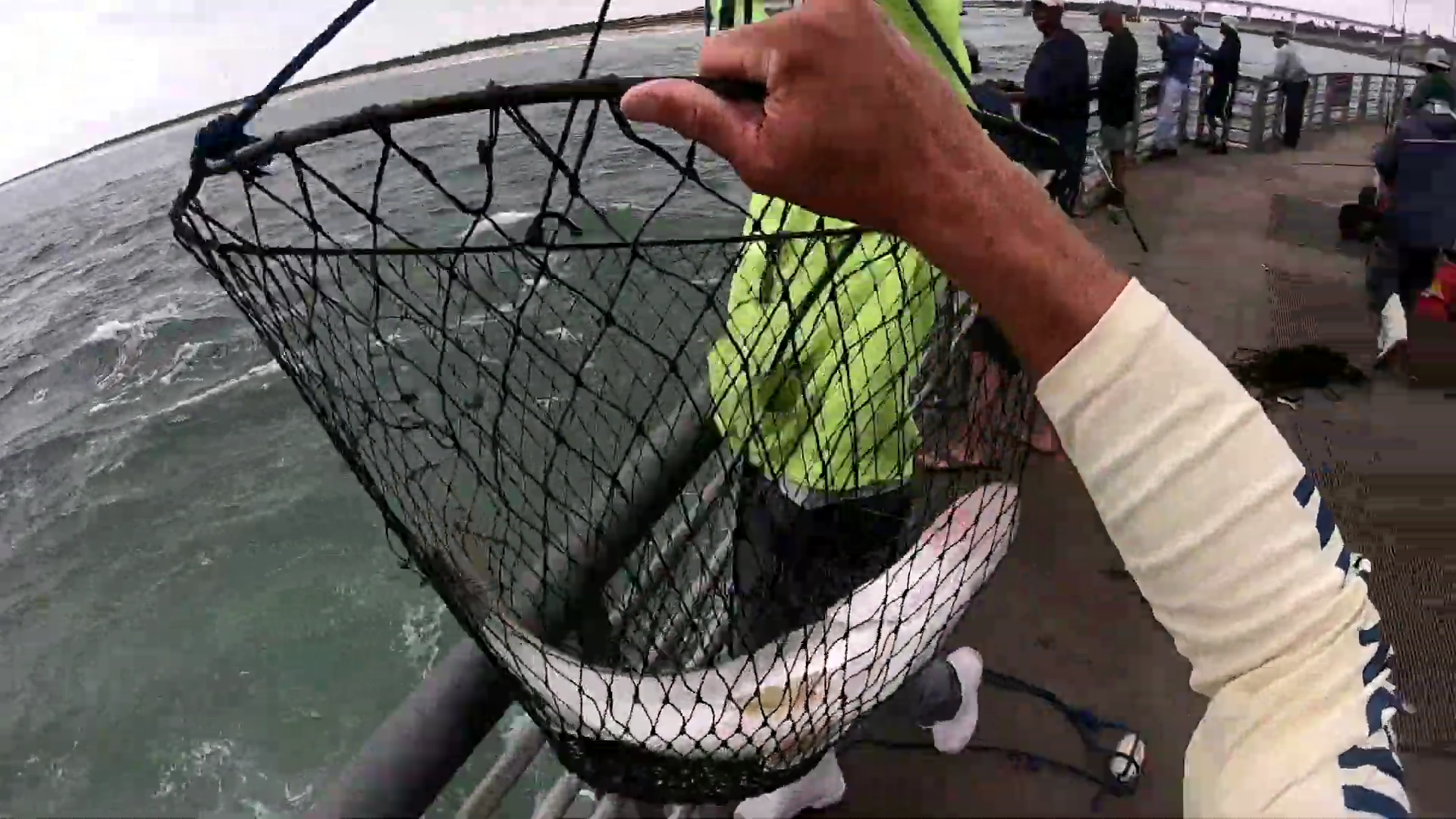 Can they resist live bait - nonstop fishing action