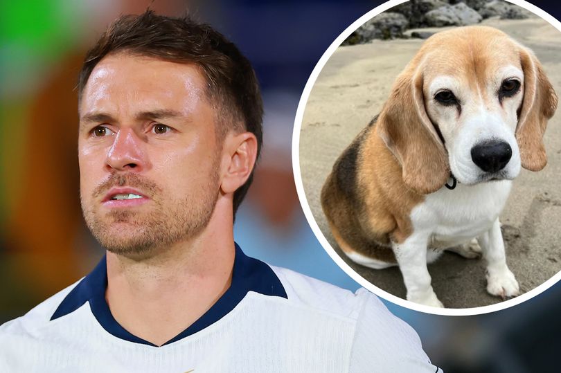 Aaron Ramsey's dog missing in Mexico as Wales star offers big reward