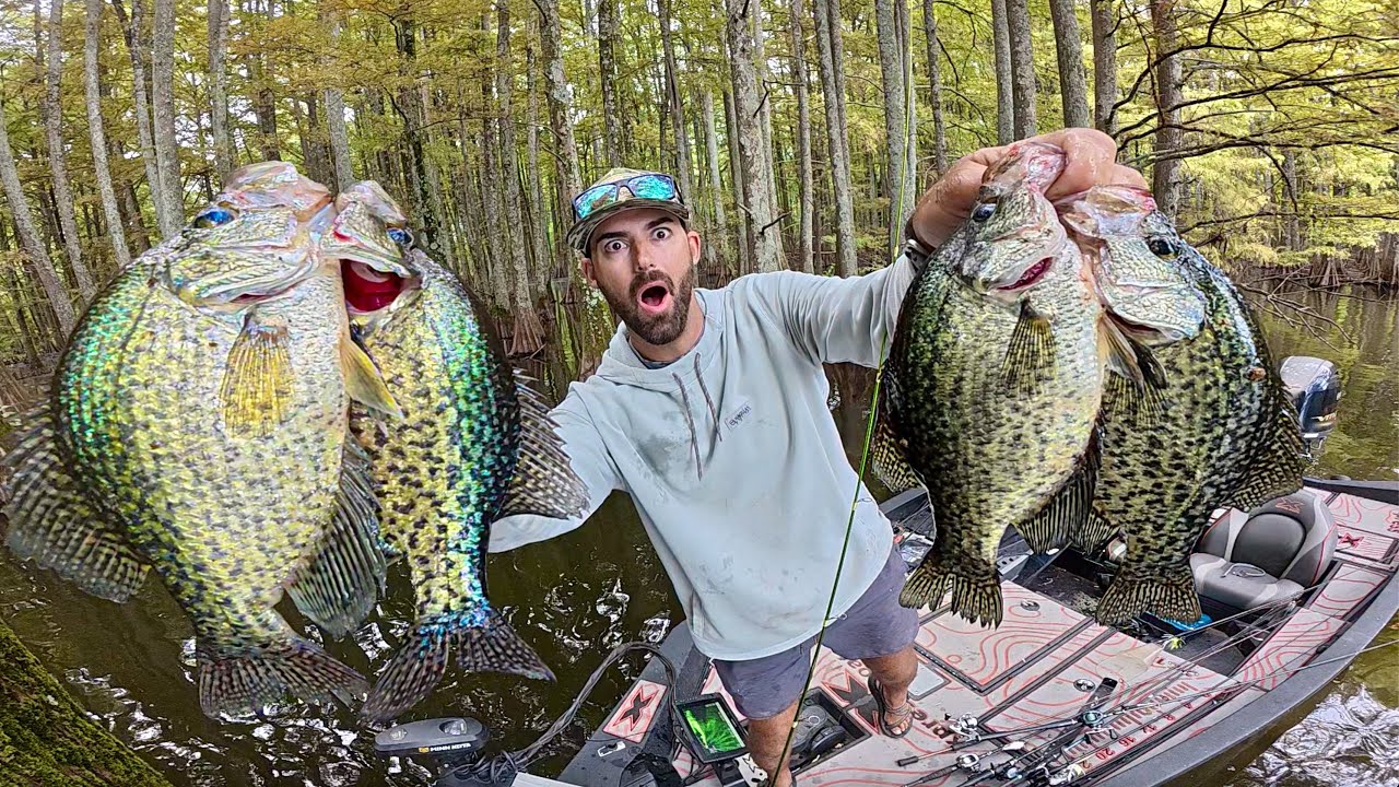 Magic spot for crappie reveals issues during catch and cook
