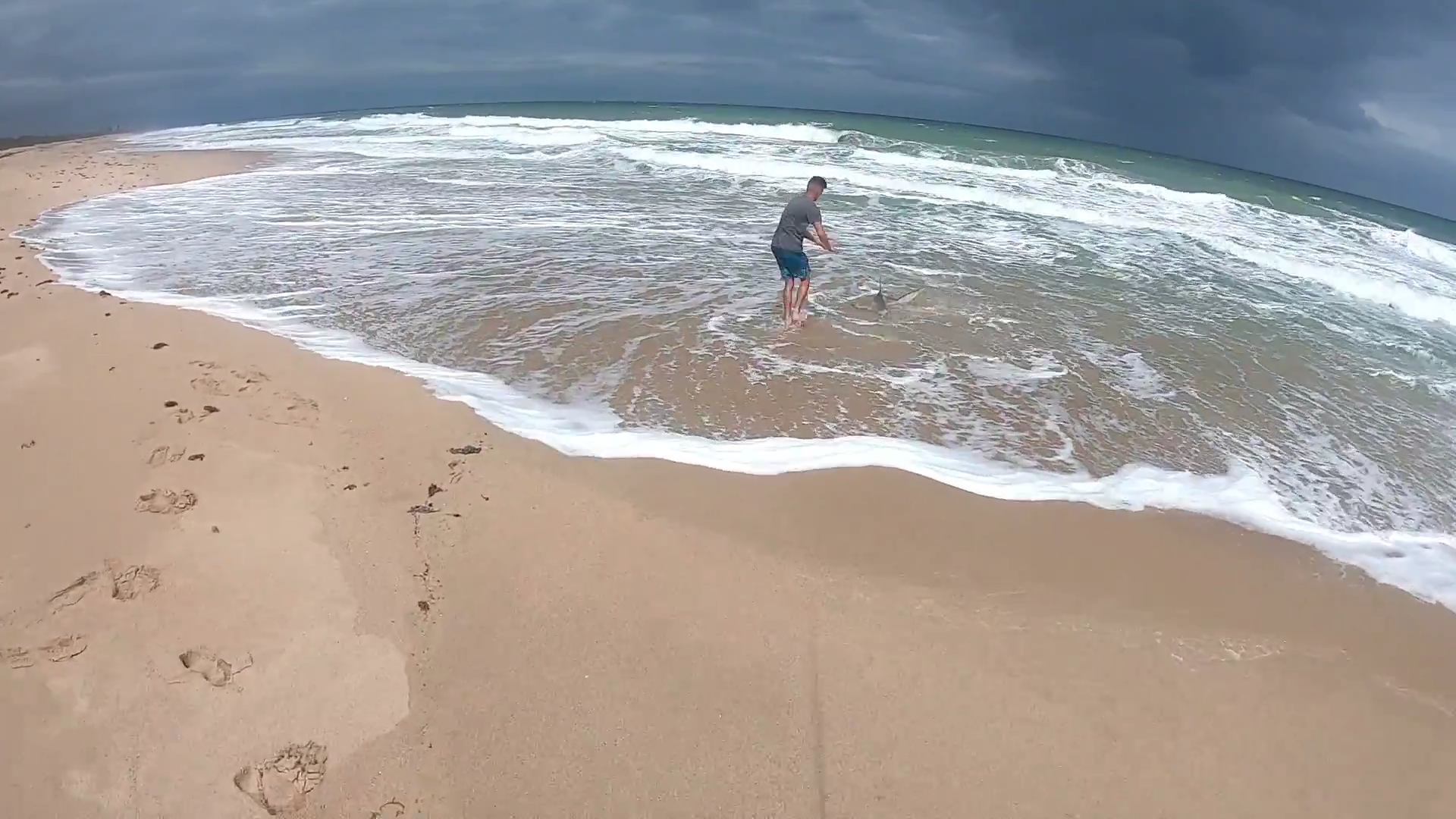 Terrifying shark attack caught on camera