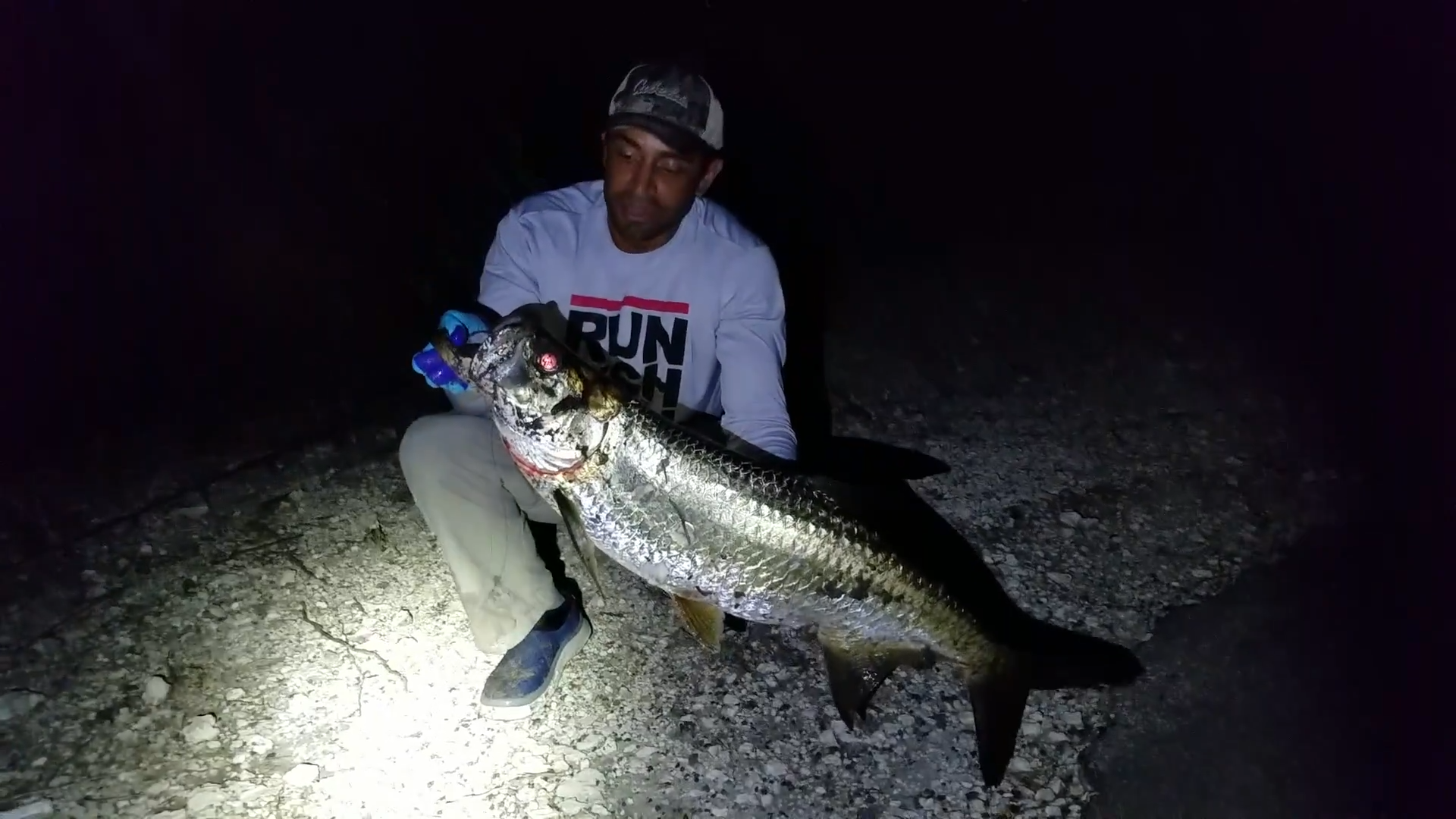 Giant tarpon leaps onto shore and causes total chaos