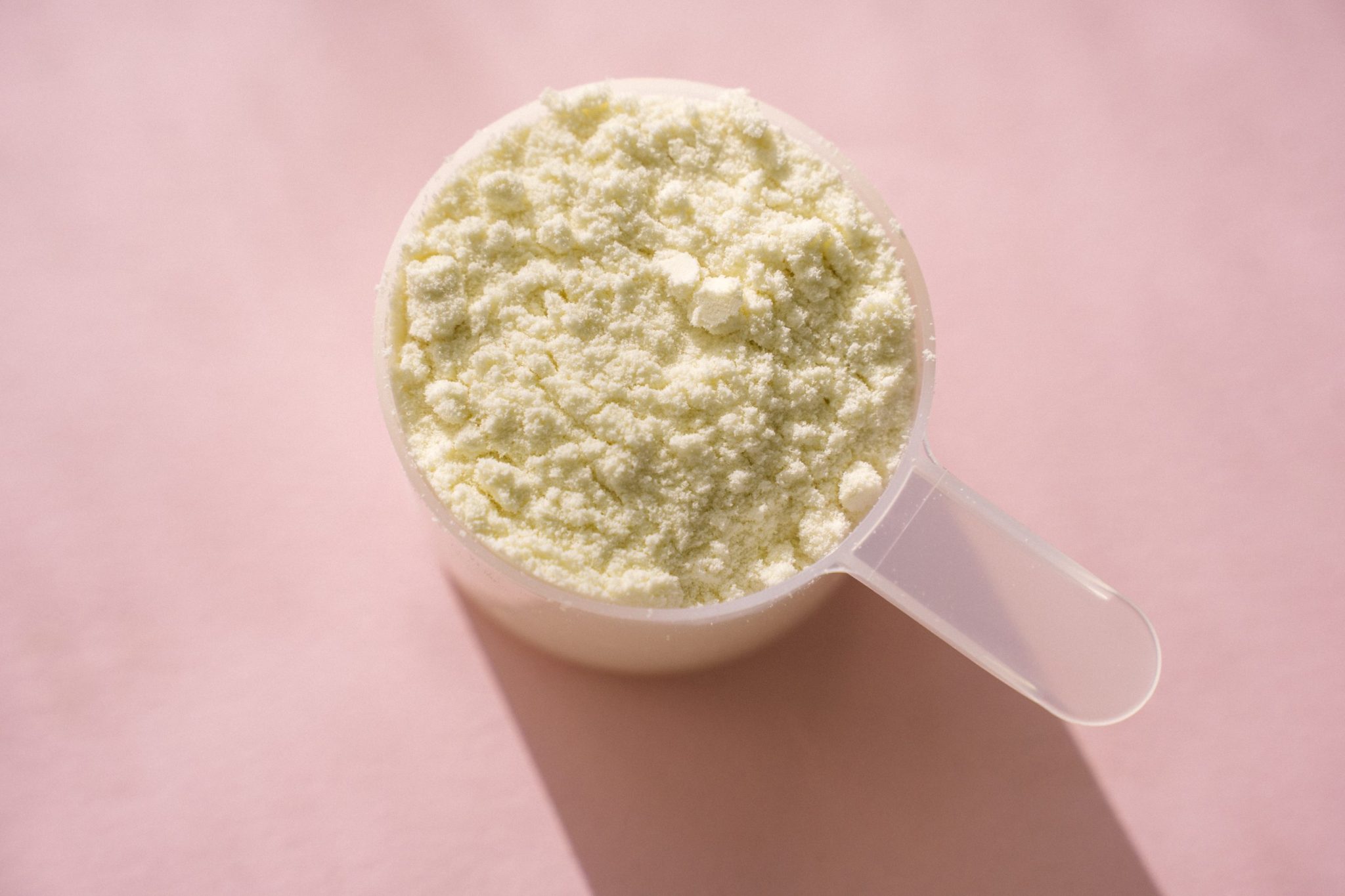 The protein bar startup David is upending food science through its ...