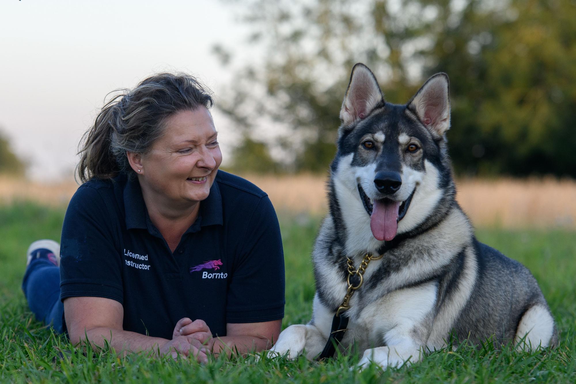 Start now or watch them suffer, urgent warning for Sheffield dog owners ...
