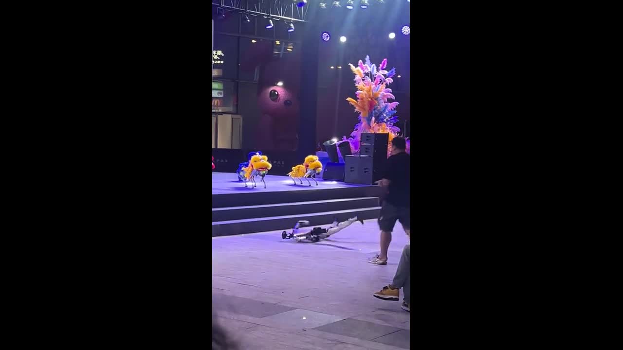 Robot falls during showcase in Hunan, China