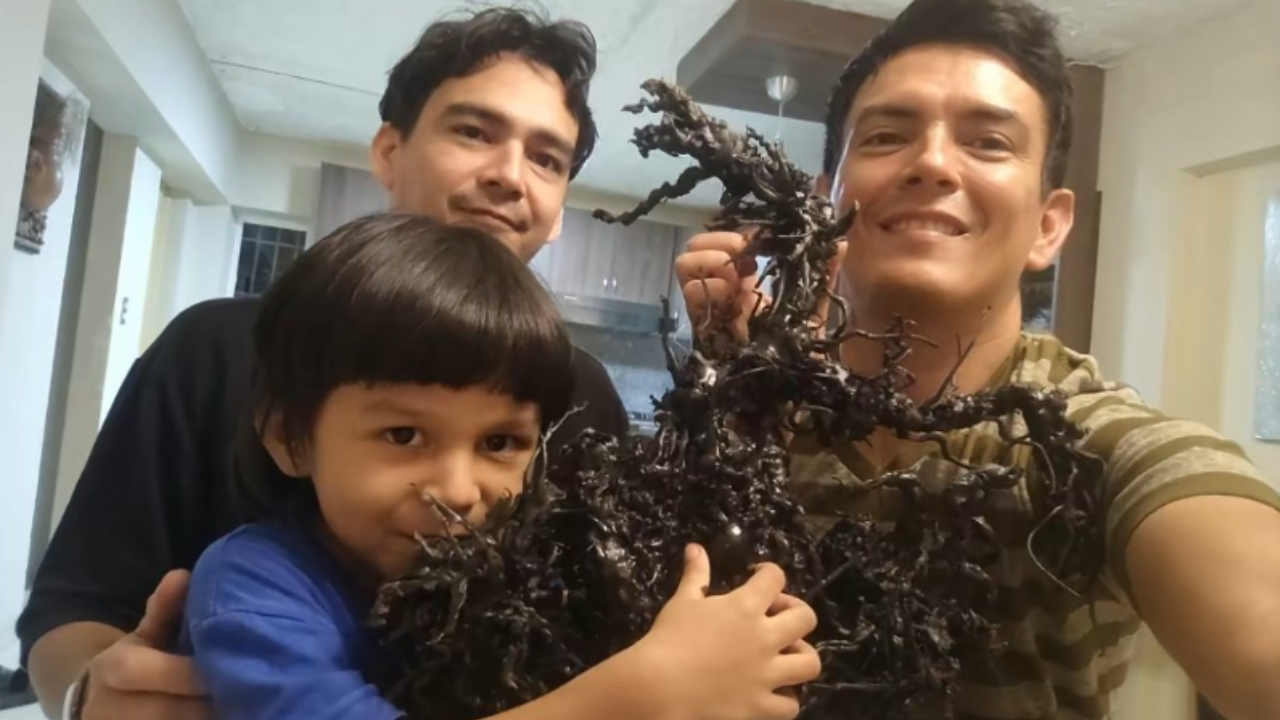 Here’s The TRUTH Behind Panama’s ‘Meteor Alien’ Videos! Owner Kin Panama Comes Clean | Viral Video