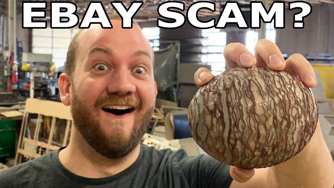 Dinosaur egg fossil cut in half - real or fake eBay scam?