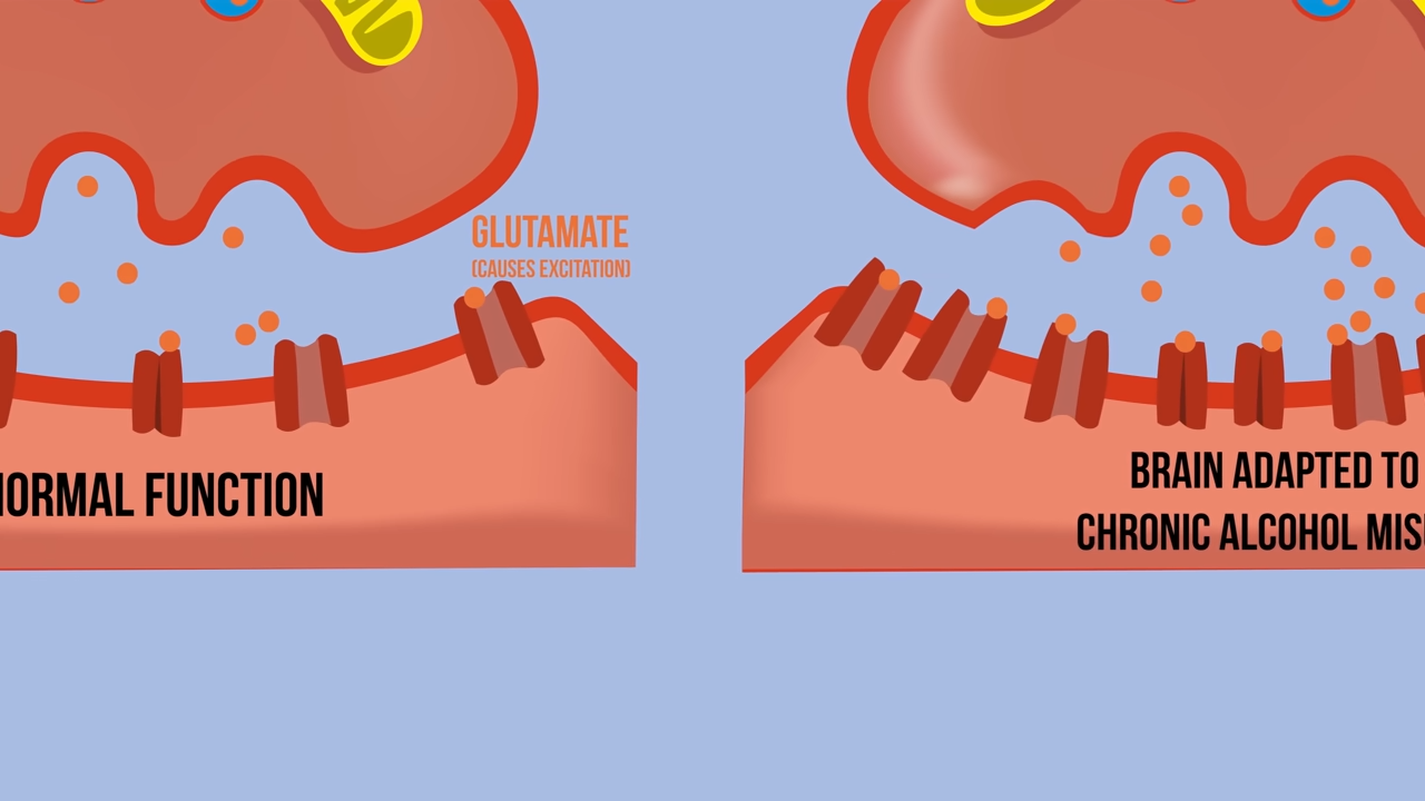 What happens to your brain after drinking 50 beers every day
