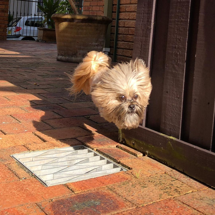 18 Unbelievable Images That Seem Too Strange to Be Real