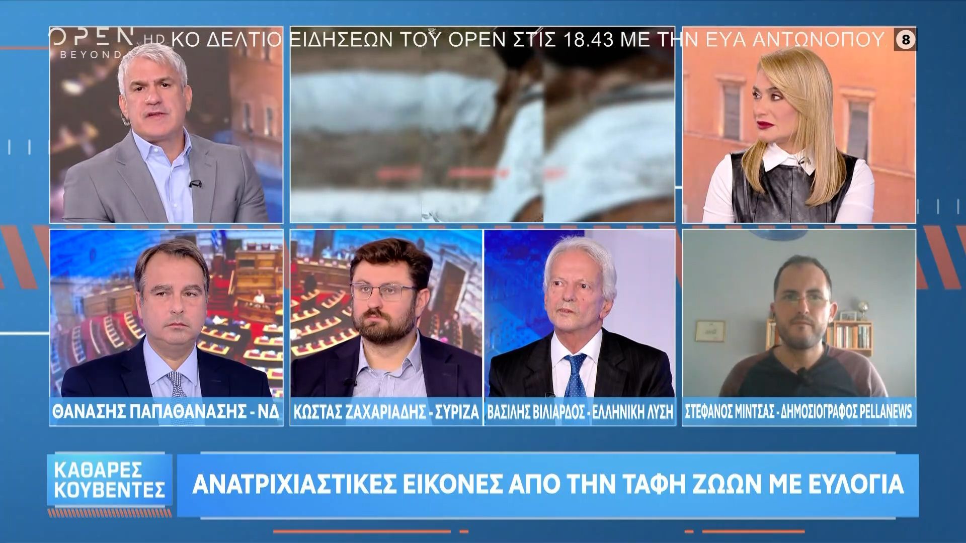 Ευλογιά προβάτων: Πως τα θάβουν στην Ελλάδα
