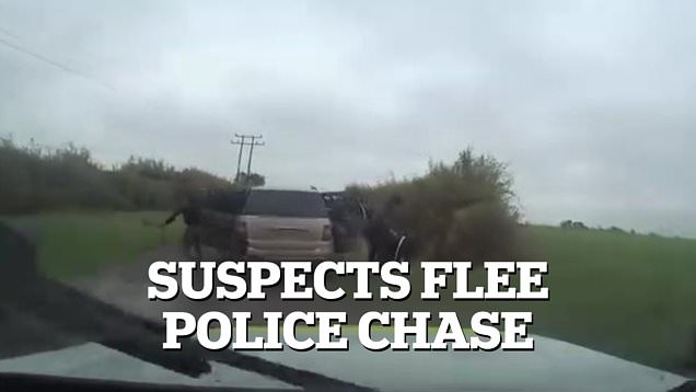 Ten suspected hare coursers flee 4x4 during dramatic police chase