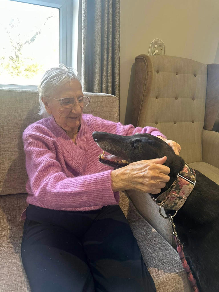 Hepworth House welcomes weekly visits from therapy dog Indra
