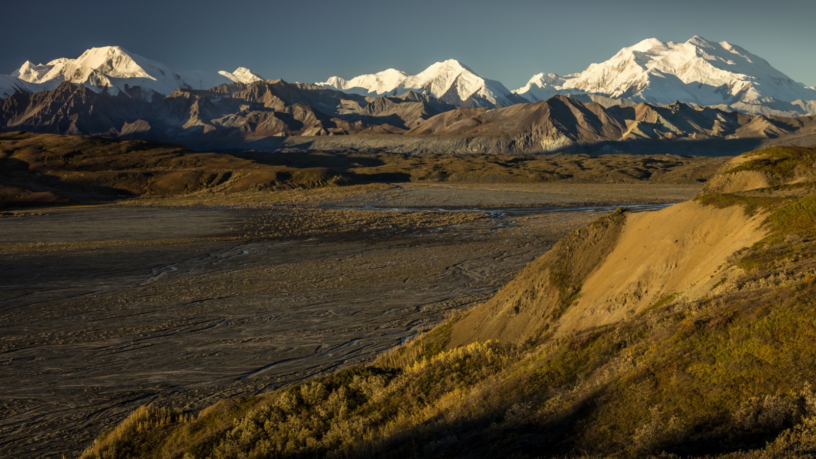 Alaska catching the last golden days at Denali National Park in October
