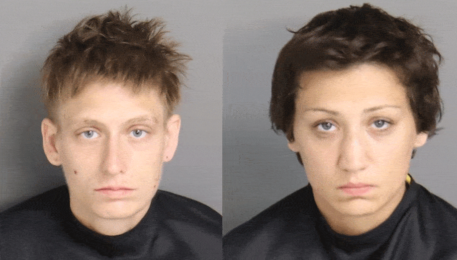 Upstate women accused of torturing dog by pouring gas on it, lighting ...
